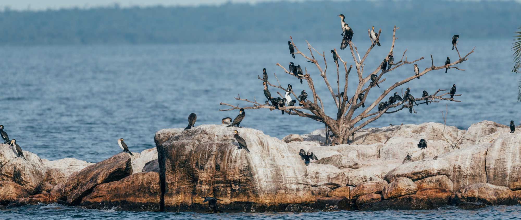 Rubondo Island - Access 2 Tanzania
